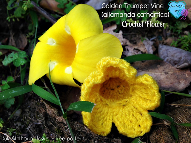 Ravelry: Golden Trumpet Flower pattern by Erangi Udeshika