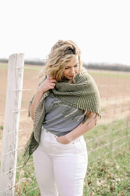 Ravelry: Speckle and Stripe Shawl pattern by Robbie Laughlin