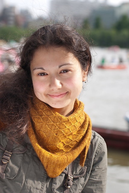 Ravelry: Apis Dorsata pattern by Anna Sudo
