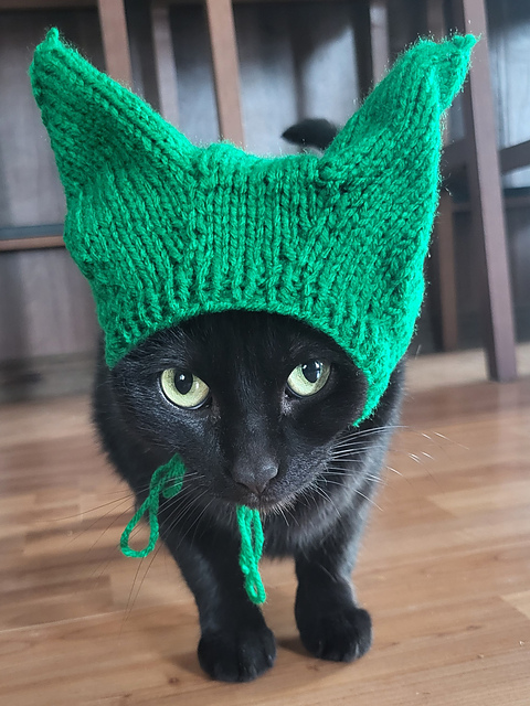 Ravelry: OG Bat Cat Hat pattern by Ashley Fehr
