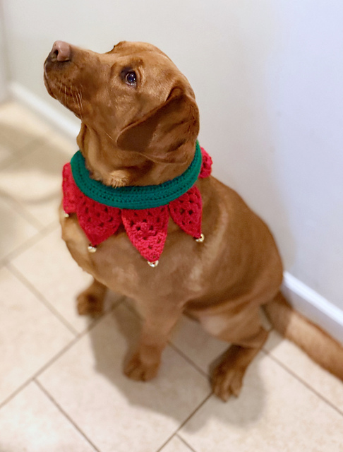 Ravelry: Holiday Elf Pet Collar Cover pattern by Fiber Flux / Jennifer ...
