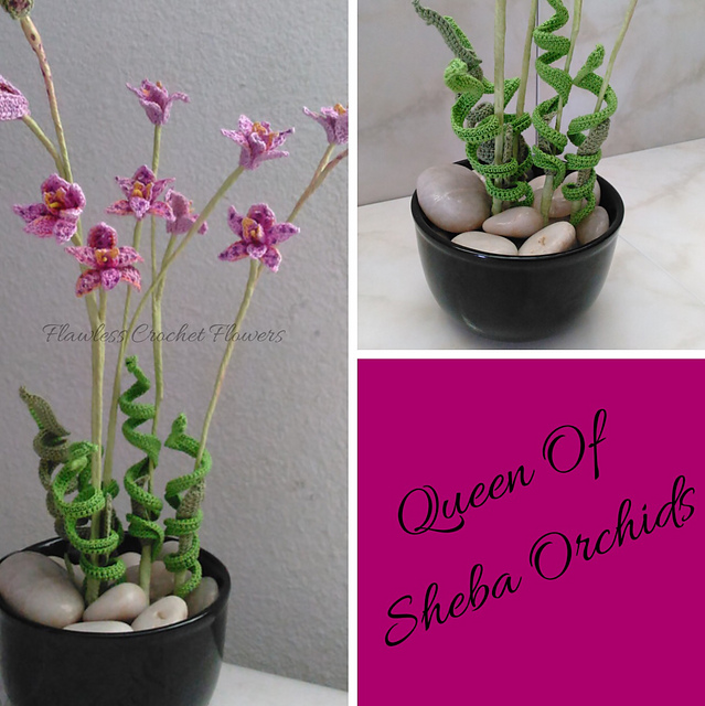 Ravelry: Queen Of Sheba Orchid pattern by Leticia Lebron