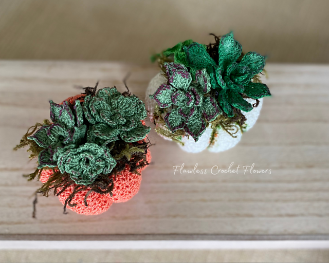 Ravelry: Succulent Topped Pumpkins pattern by Leticia Lebron