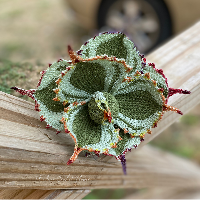 Ravelry: Dwarf Butterfly Agave pattern by Leticia Lebron