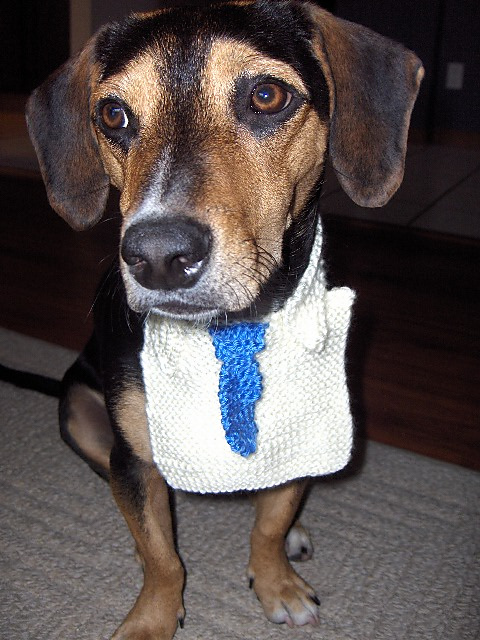 Ravelry: FluffStuff's Manly Bib