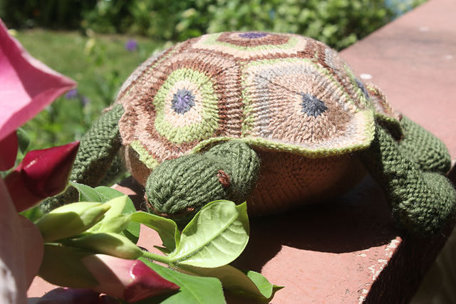 Ravelry: tortellini tortoise pattern by Claire Garland