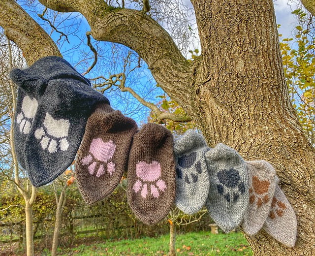 Ravelry: Paw Print Socks in DK pattern by Naomi Fox