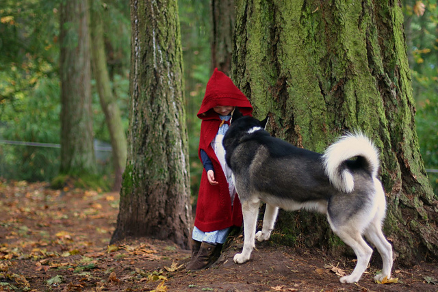 Ravelry: FrontierDreams' Kaulini's 5th Birthday Present/Halloween Costume