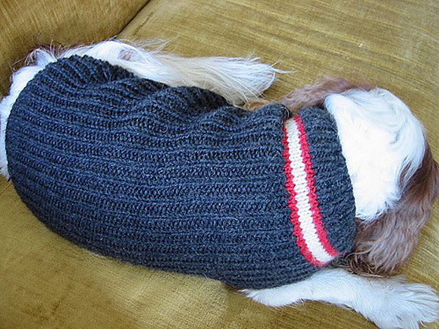 Ravelry: Rib Tickler to knit pattern by Carol Carvalho
