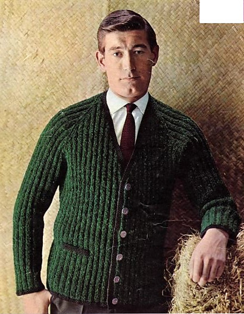 Ravelry: Bracken with a Totem contrast pattern by Patons & Baldwins
