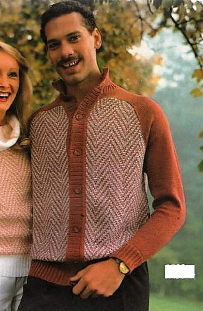 Ravelry: 2538 Man's jacket with raglan sleeves pattern by Passap Design ...