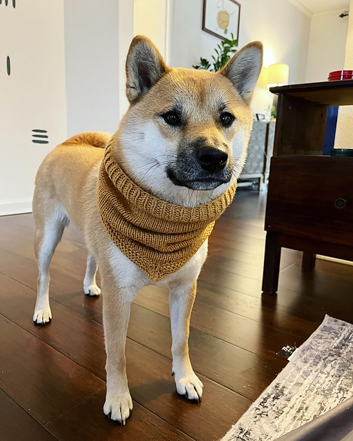 Ravelry: Invincible Bandana Cowl pattern by William Hou