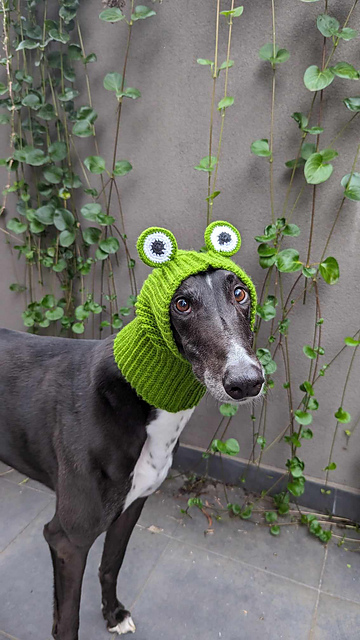 Ravelry: Frog Greyhound Snood pattern by Grey And Crochet