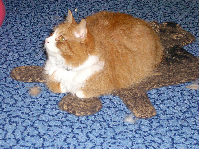 Ravelry: Gwillewyn's Roadkill Rug v. 2.0