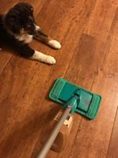 Ravelry: Reusable Swifty pattern by My Handmade Favorites