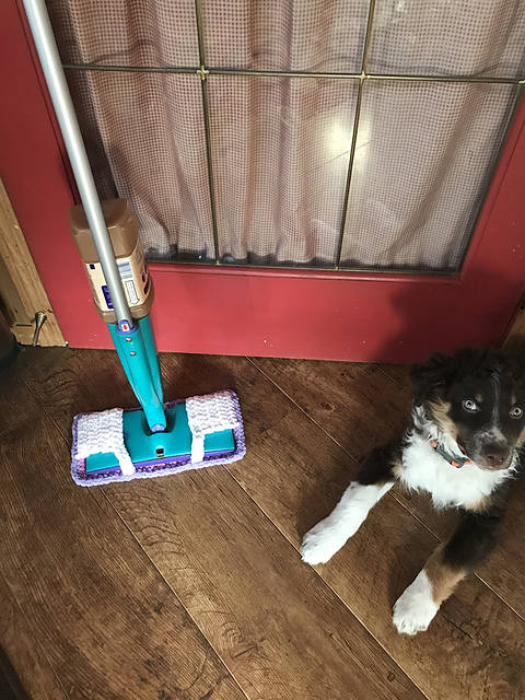 Ravelry: Swifty Dual pattern by My Handmade Favorites