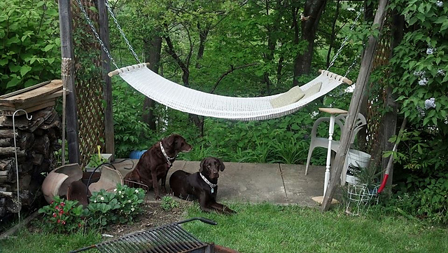 Ravelry: My Hammock pattern by JoAnne Leonard