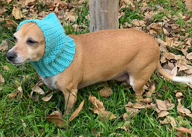 Ravelry: Chihuahua Dog Hood pattern by Hello Gabby
