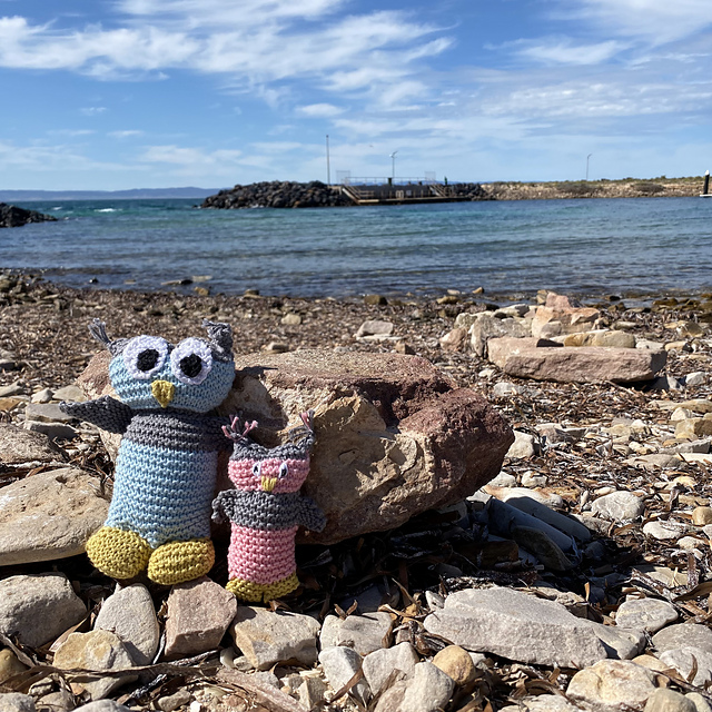 Ravelry: Whoot pattern by Tracy Henwood