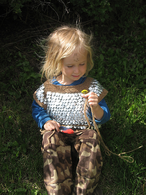 Ravelry: Ilailea's Brushed aluminum scale shirt