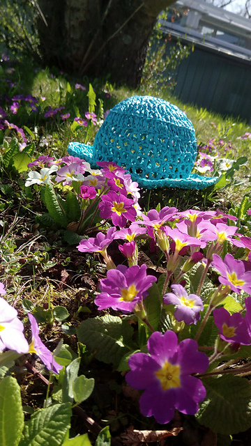 Ravelry: Crazy Cap pattern by Renee stanley