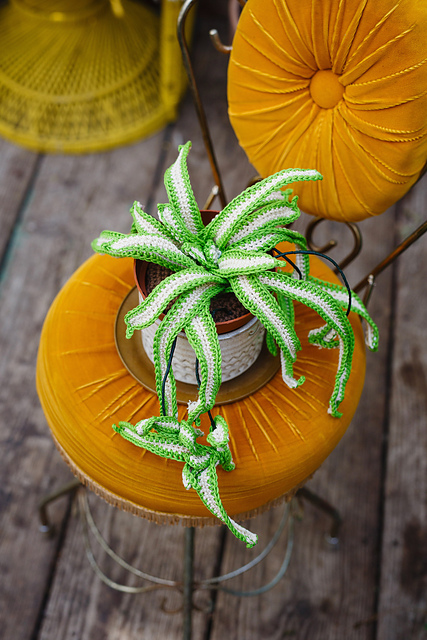 Ravelry: Spider Plant pattern by Tracey Todhunter