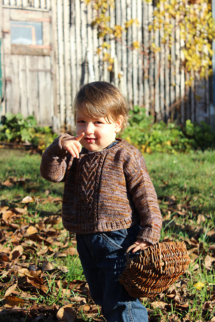 Ravelry: Campfire Sweater pattern by Louise Dietz
