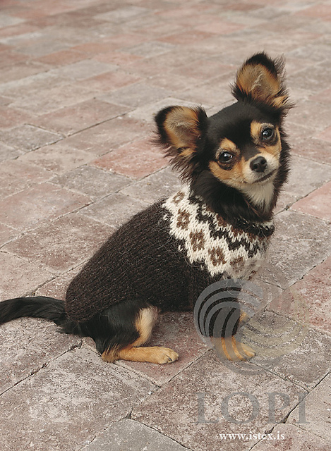 Ravelry: Voff pattern by Védís Jónsdóttir for Ístex