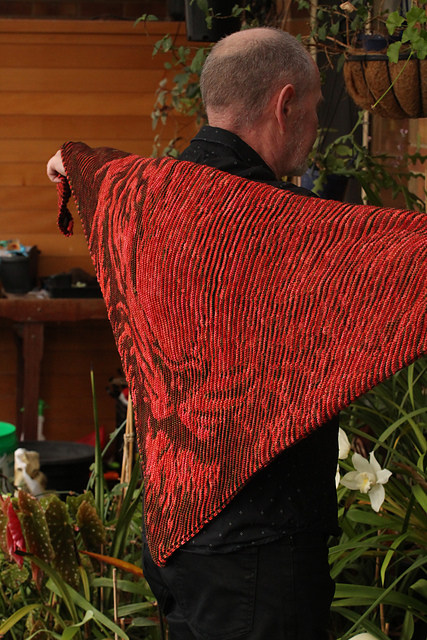 Ravelry: Tiger Shadow Shawl pattern by Mark Jamieson
