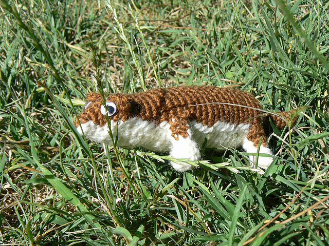 Ravelry: Least weasel pattern by Jazmo Tennant