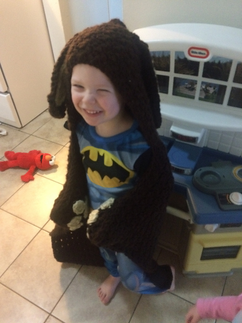 Ravelry: Scruffy Puppy Hooded Blanket pattern by Jen Causley