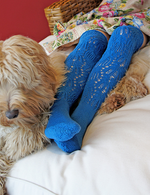 Ravelry: Fitted Lace Stockings pattern by Skacel Knitting