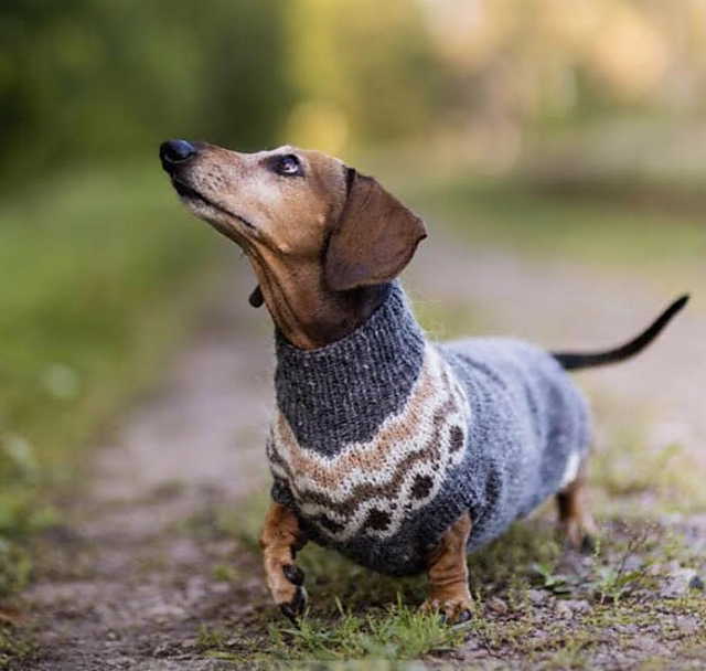 Ravelry: Twine pattern by Annis Alarto