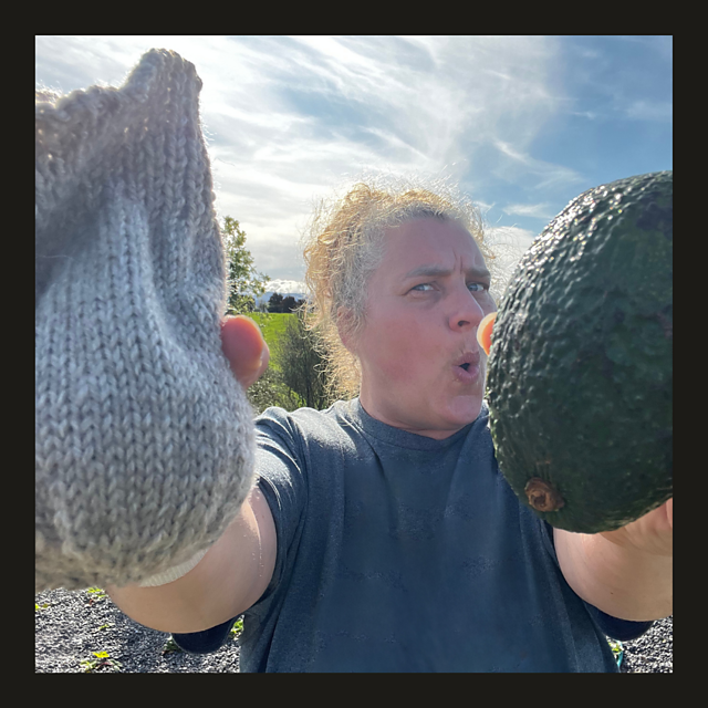 Ravelry: Avocado Socks pattern by The Knit Guru