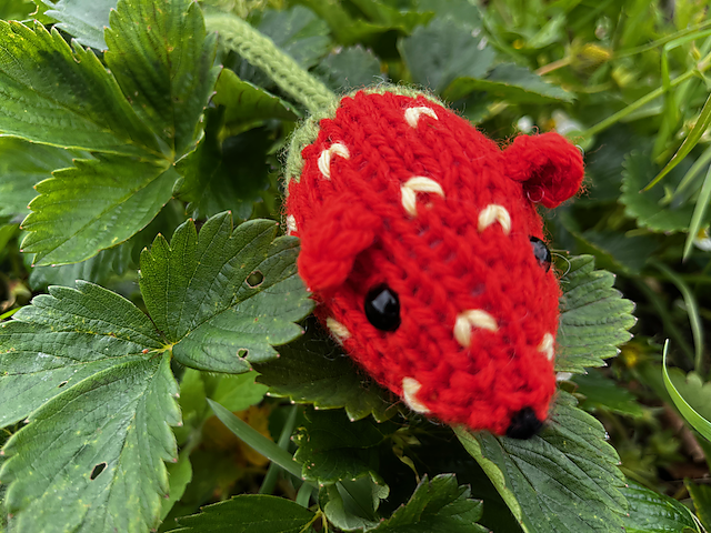 Ravelry: Strawberry Mouse pattern by The Knit Guru
