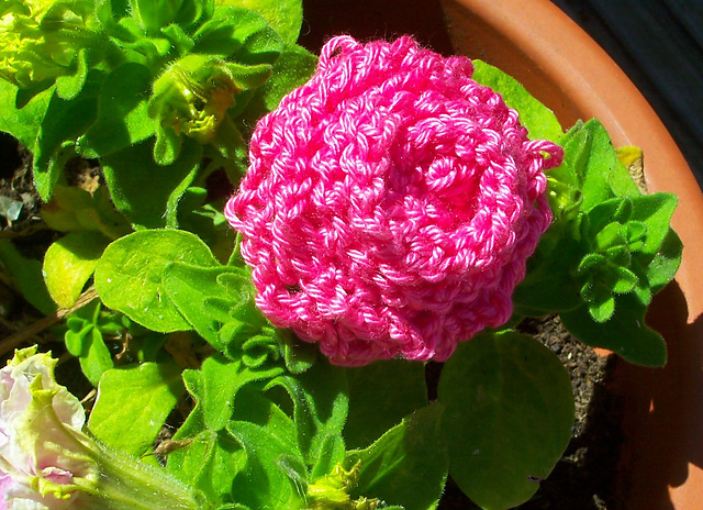 Ravelry: Knitted Roses pattern by Julieta Brandao