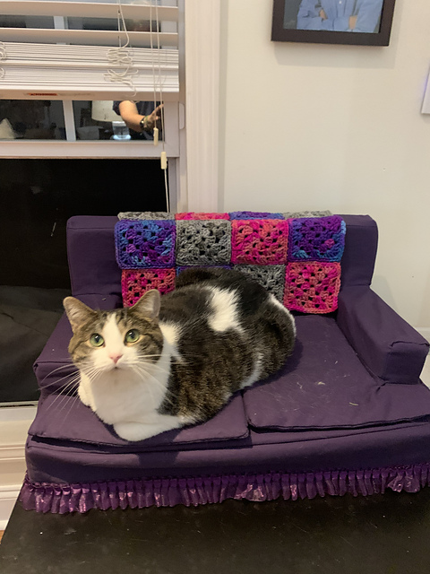Ravelry: KALeasy's Mallory’s crochet Kitty couch
