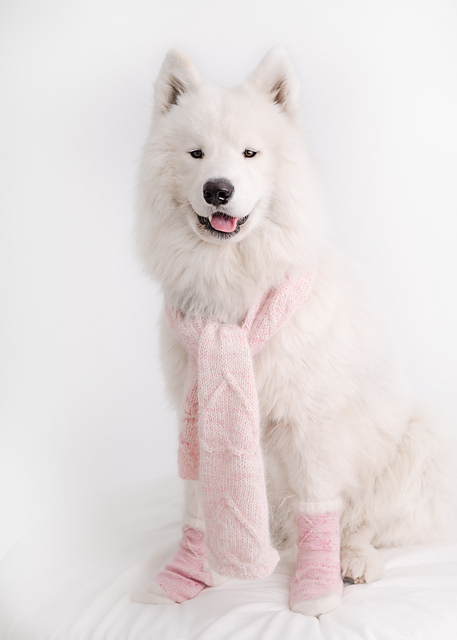 Ravelry: Cutie Pie Socks pattern by Karen Riehl