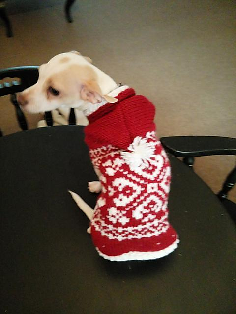 Ravelry: Xmas Fair Isle Hooded Dog Sweater pattern by Kirrirae Perrigan