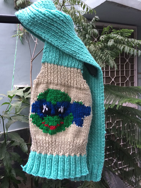 Ravelry: Leonardo Ninja Turtle Scarf pattern by Knitting Nani Thelma