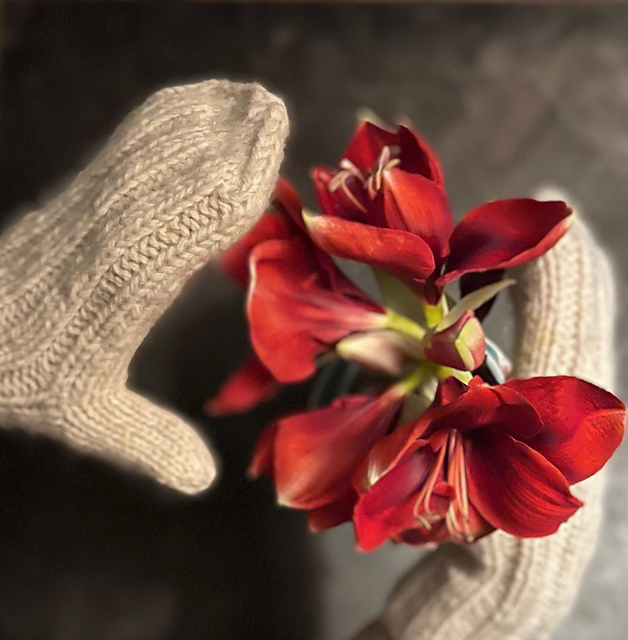 Ravelry: Watch Mittens pattern by Beatrice Olsson