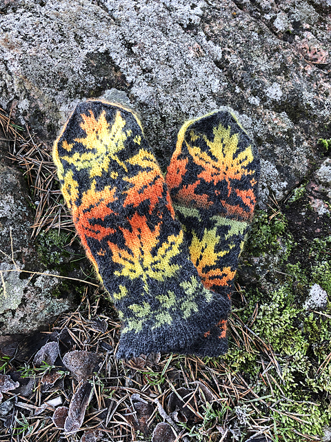 Ravelry: Maple leaf pattern by knittinglotta