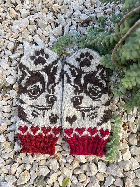 Ravelry: Chihuahua pattern by knittinglotta