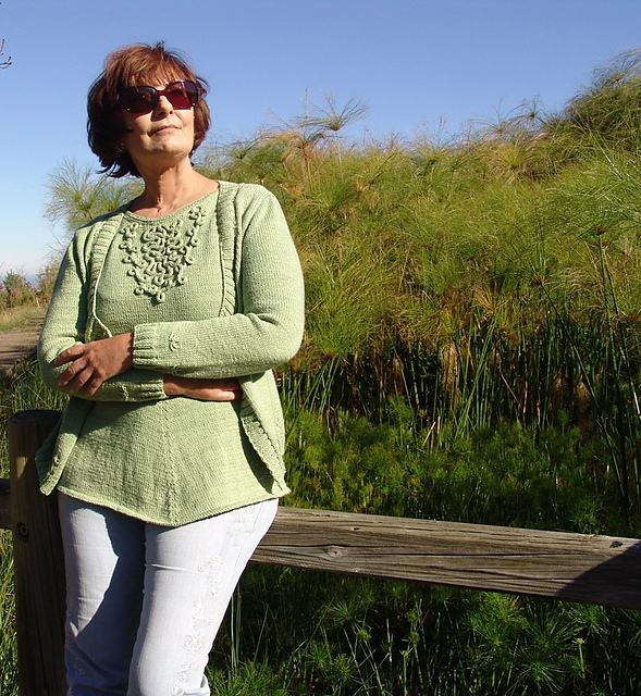Ravelry: Willow Cardigan pattern by Tracy Schmittgen The Knitting Station