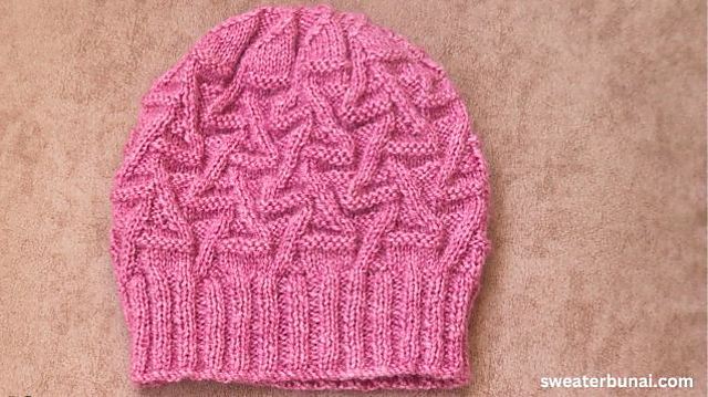 Ravelry: Brain hat pattern by Sunayana Negi