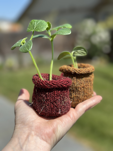 Ravelry: Wee Little Planters pattern by Sarah Keller