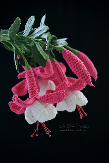 Ravelry: Fuchsia Flower pattern by Novelia