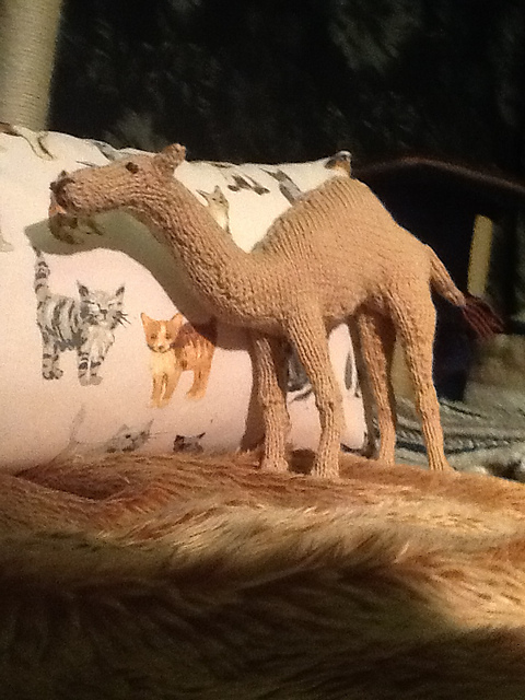 Ravelry: Camel pattern by Sally Muir and Joanna Osborne