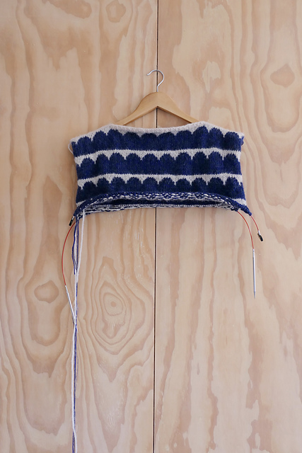 Ravelry: Liiiisa's Robinia Sweater