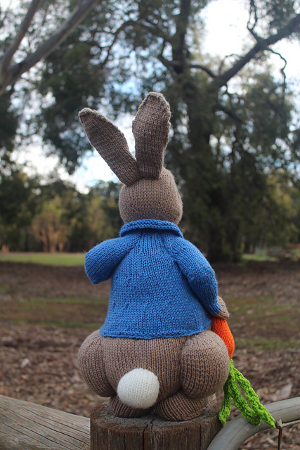 Ravelry: LindaDavie's Peter Rabbit